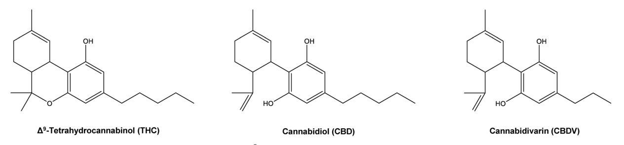 Delta 9 THC [BSA] (DAG2980) - Creative Diagnostics